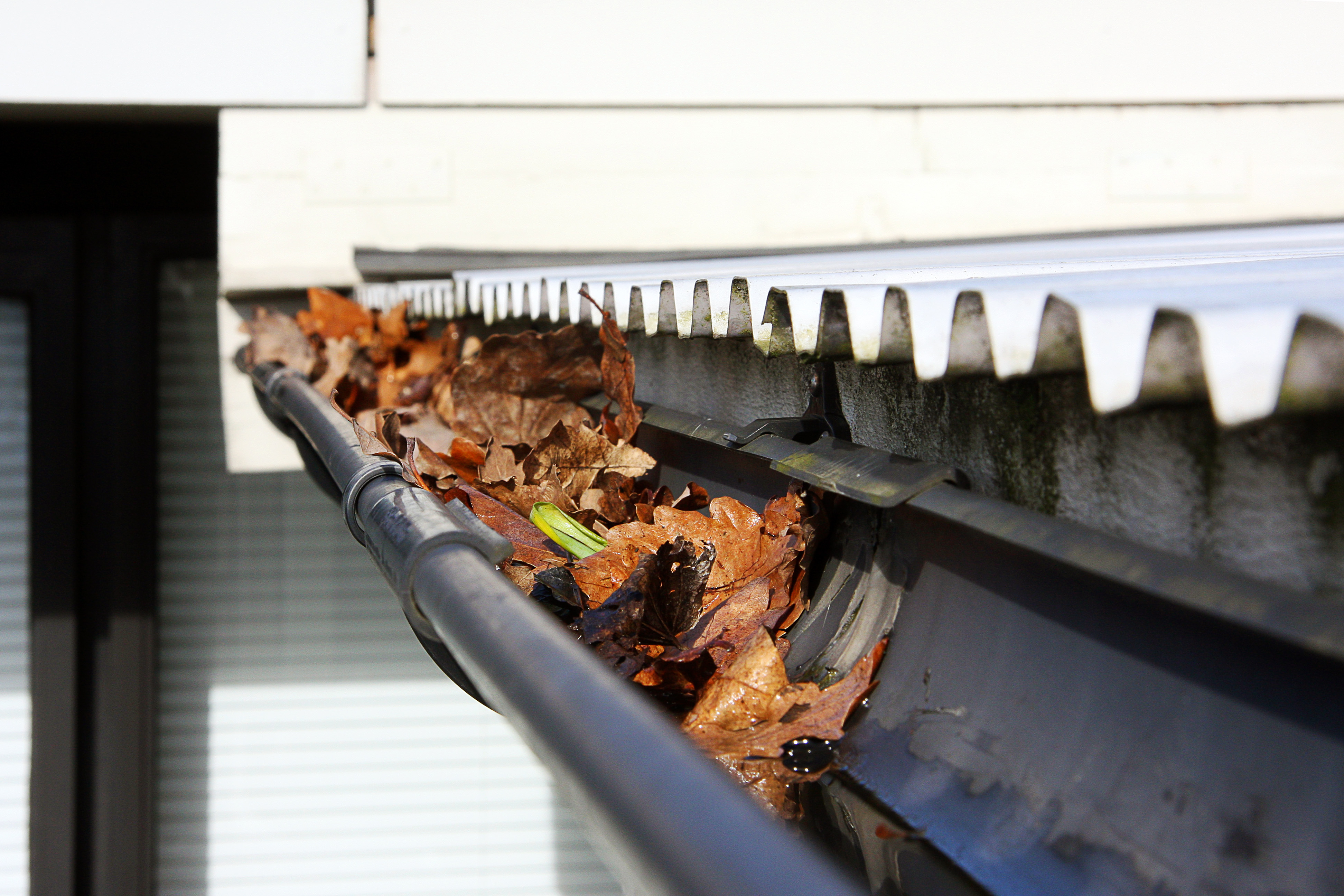 Få Renset Tagrender | ReneTagrender.dk