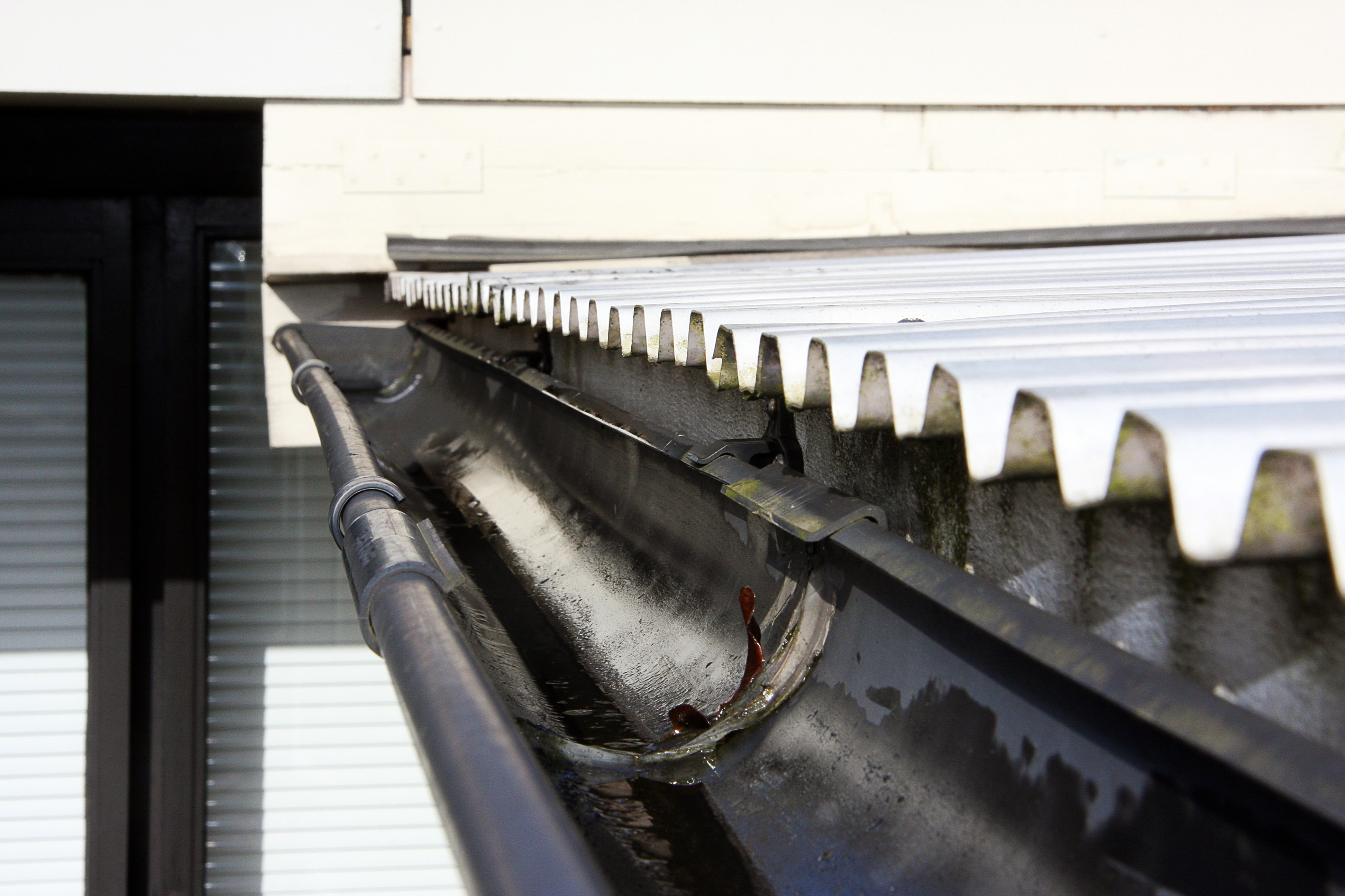 Få Renset Tagrender | ReneTagrender.dk